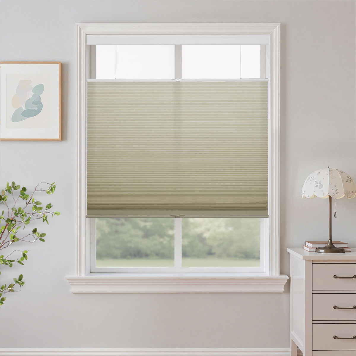 Orla Top-Down Bottom-Up Cellular Shades Light Filtering Honeycomb Blin ...